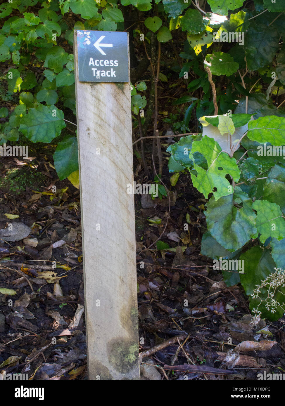 Walking Track Directions Stock Photo - Alamy