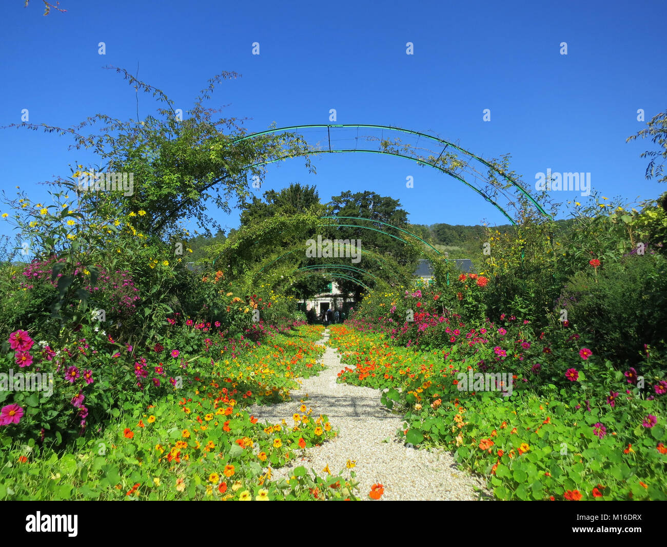 Alley with flowers hi-res stock photography and images - Alamy