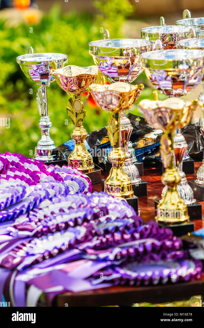 Table with prize cups and souvenirs. Tournament Stock Photo - Alamy