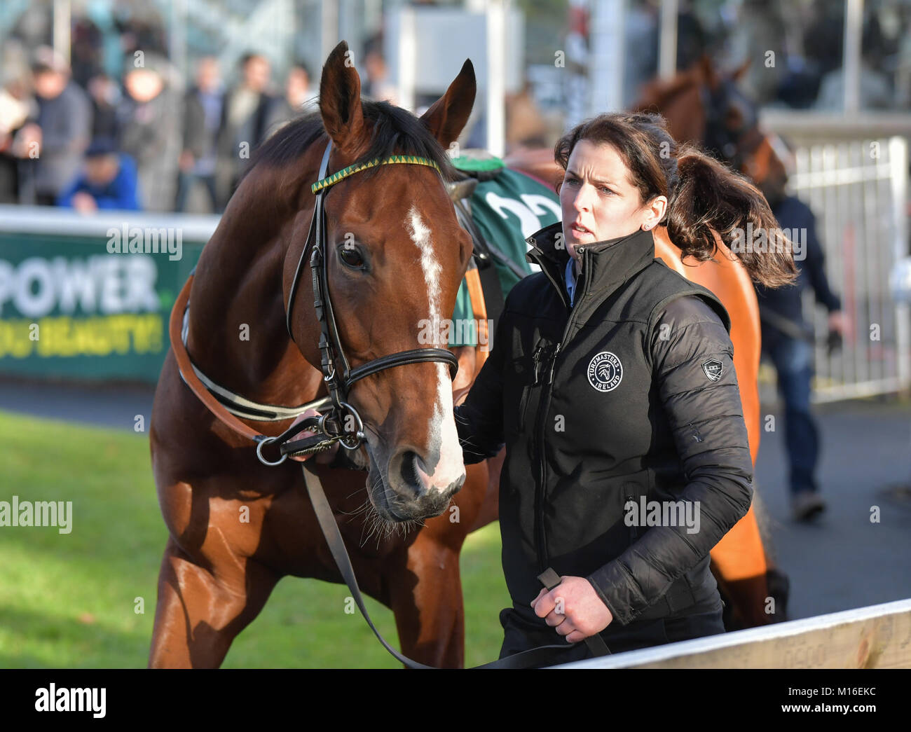 Action from Leopardstown St Stephen's day racing meeting Featuring ...