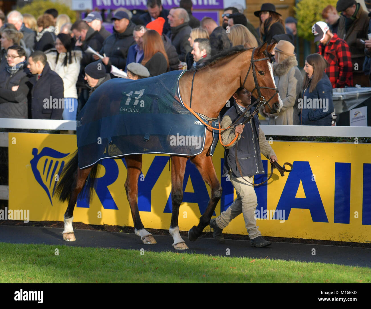 Action from Leopardstown St Stephen's day racing meeting Featuring ...