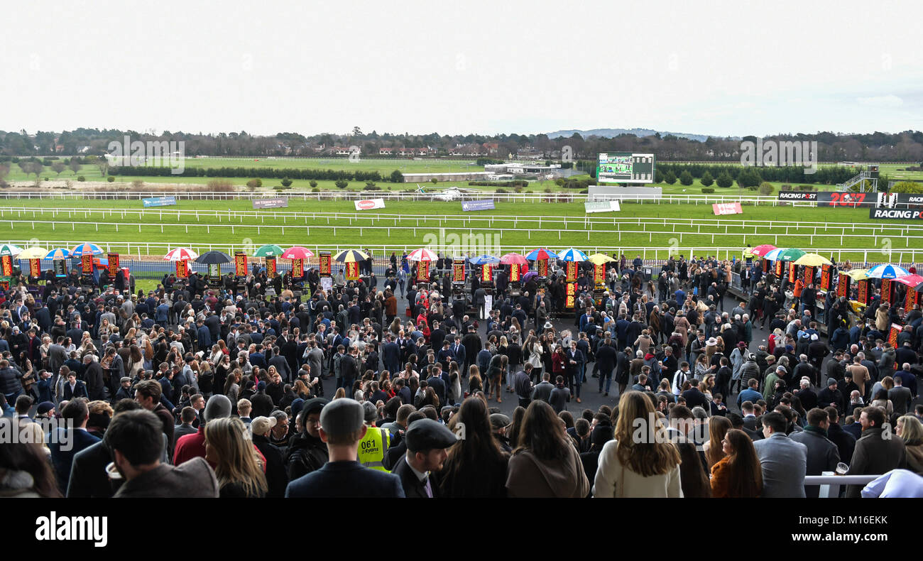 Action from Leopardstown St Stephen's day racing meeting Featuring ...