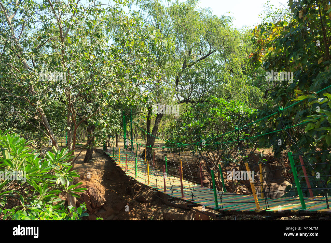 Parks, Forest, plants and green area wonderful landscape in New Delhi ...