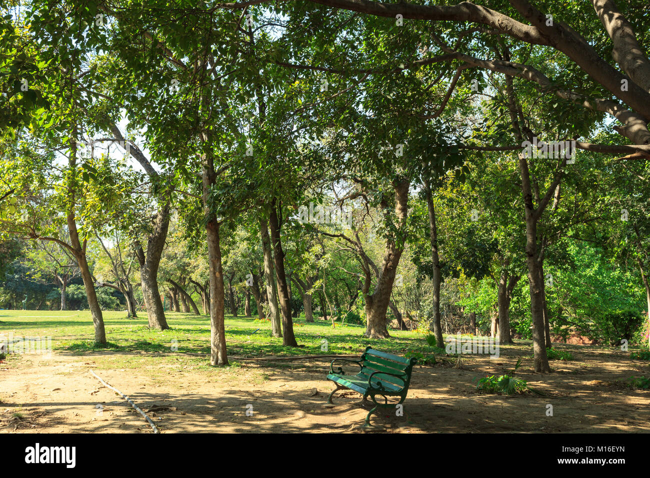 Parks, Forest, plants and green area wonderful landscape in New Delhi ...