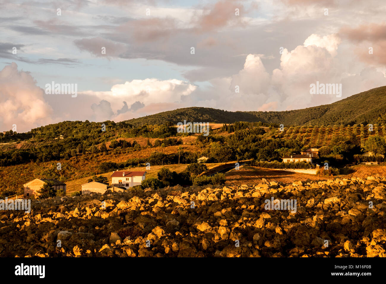 dramatic sunset over a dry field, heavy clouds on a rural scene, farm ...