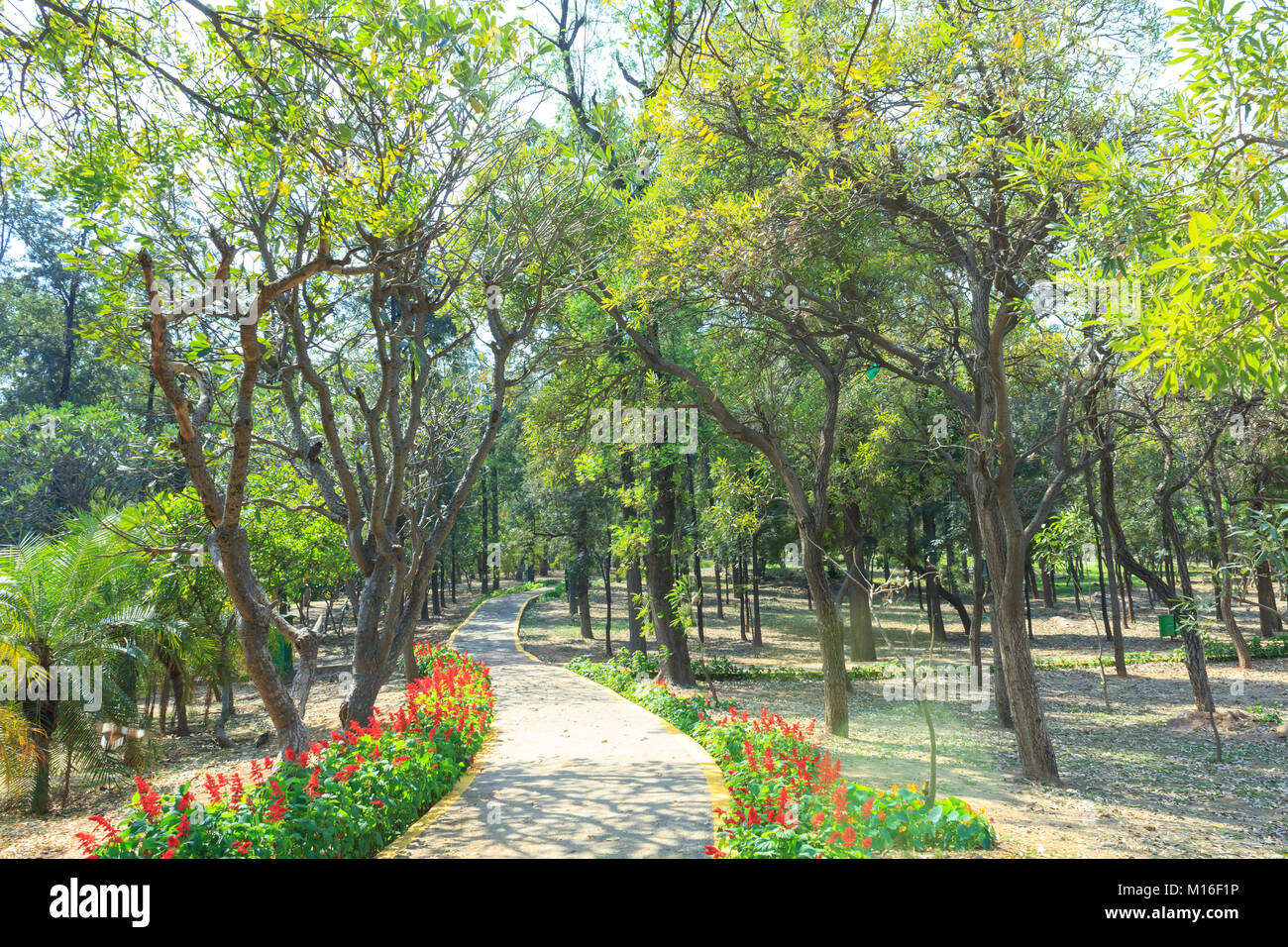 Parks, Forest, plants and green area wonderful landscape in New Delhi ...