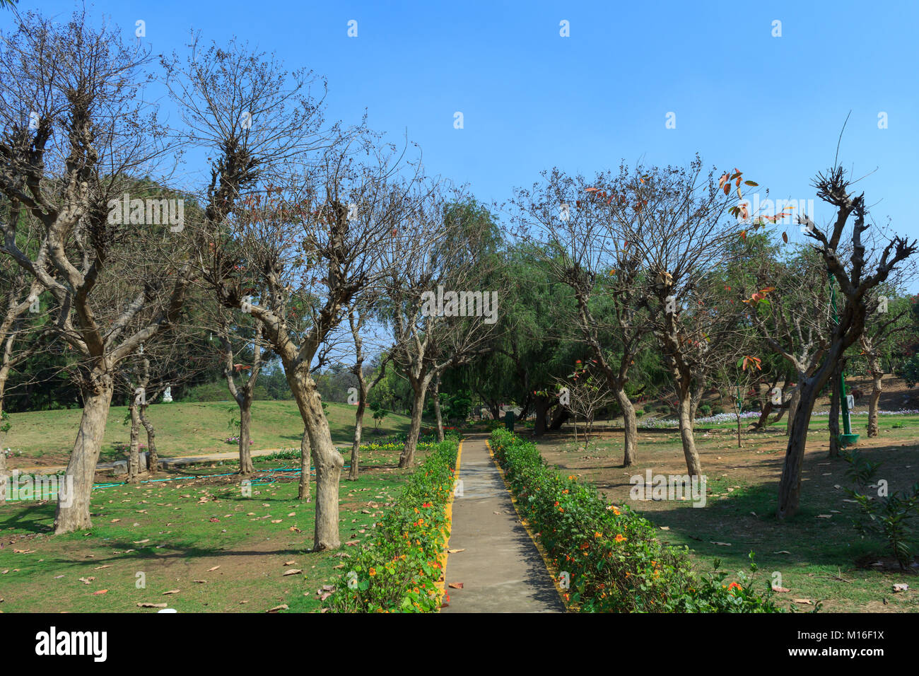 Parks, Forest, plants and green area wonderful landscape in New Delhi ...