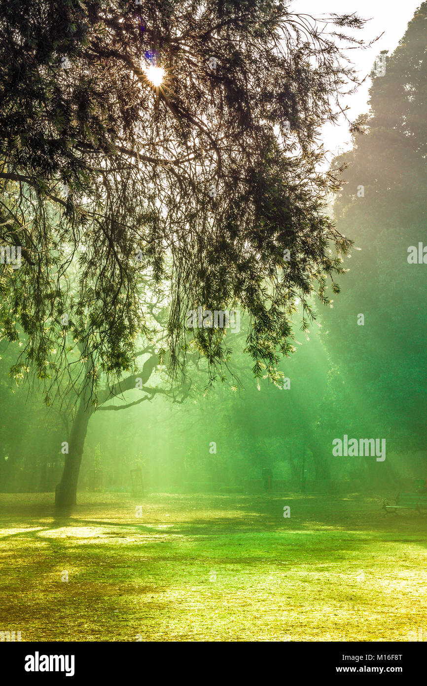 Parks, Forest, plants and green area wonderful landscape in New Delhi ...