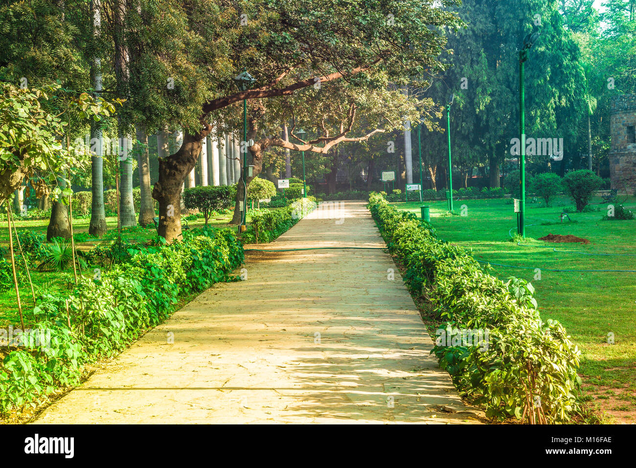 Parks, Forest, plants and green area wonderful landscape in New Delhi ...