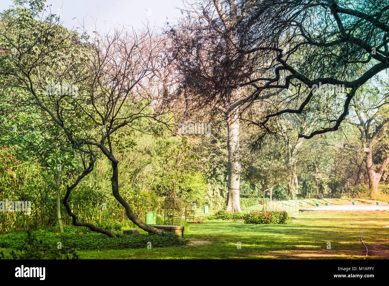 Parks, Forest, plants and green area wonderful landscape in New Delhi ...