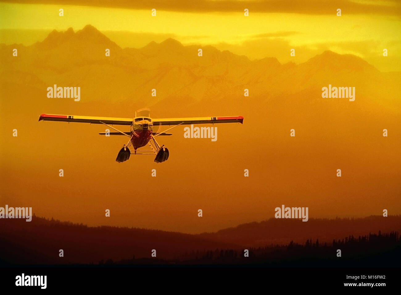 Single engine, turboprop Otter Airplane in flight over forested ...