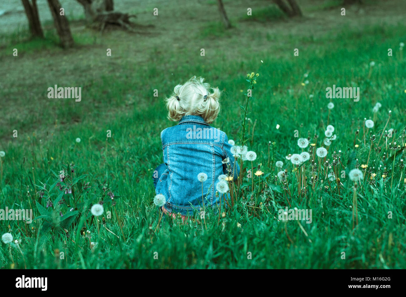rear view of blond girl in green meadow Stock Photo - Alamy