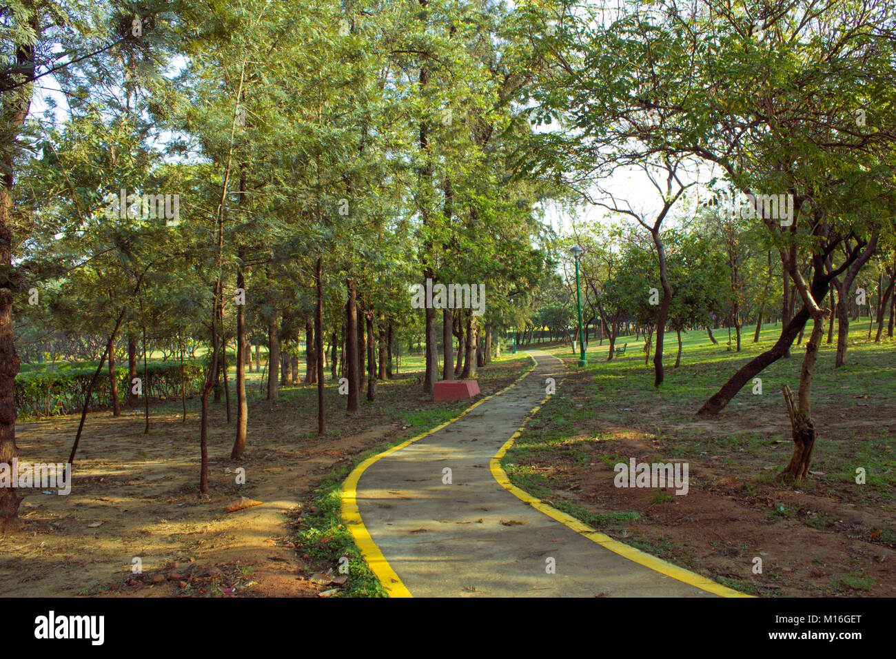 Parks, Forest, plants and green area wonderful landscape in New Delhi ...