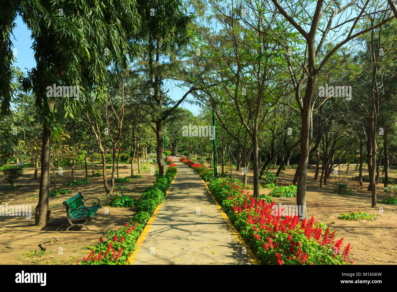 Parks, Forest, plants and green area wonderful landscape in New Delhi ...