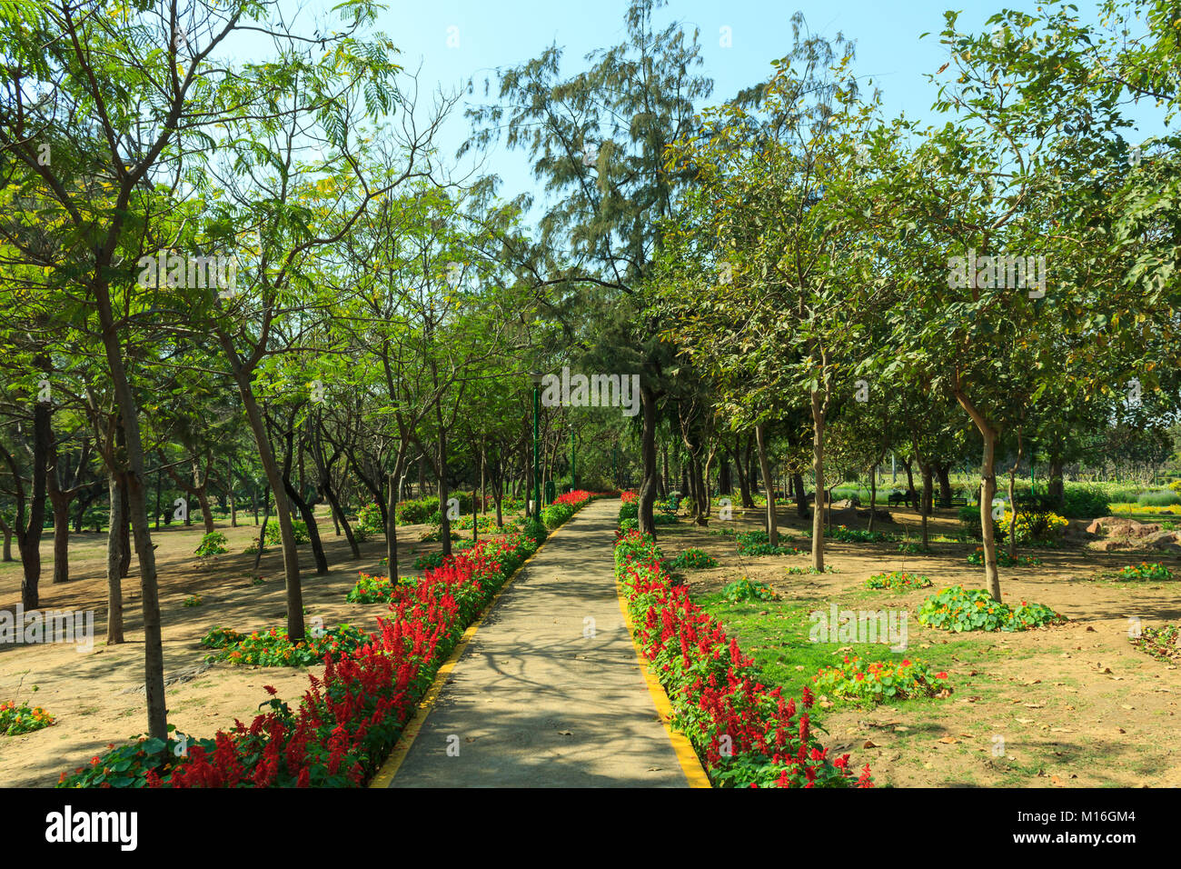 Parks, Forest, plants and green area wonderful landscape in New Delhi ...