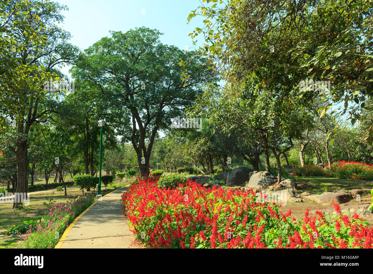 Parks, Forest, plants and green area wonderful landscape in New Delhi ...