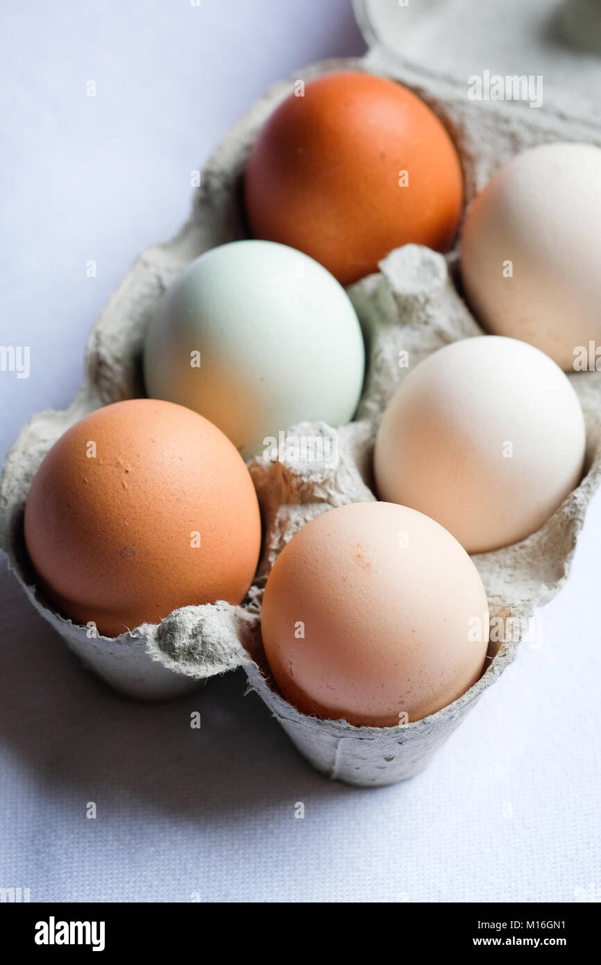 Different blue colours hi-res stock photography and images - Alamy