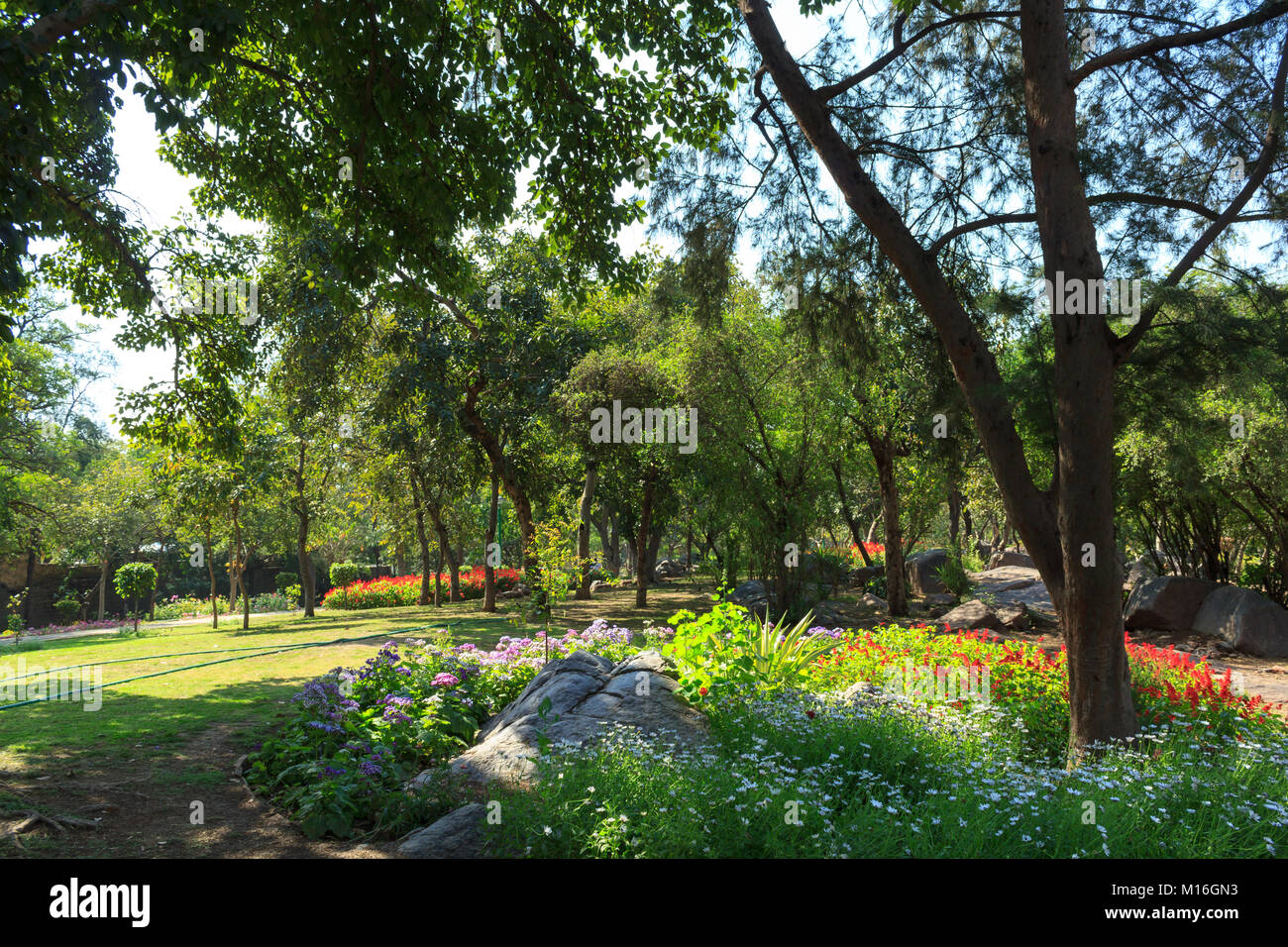 Parks, Forest, plants and green area wonderful landscape in New Delhi ...