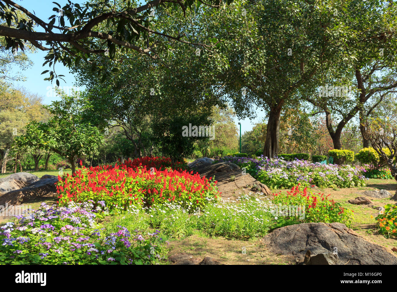 Parks, Forest, plants and green area wonderful landscape in New Delhi ...