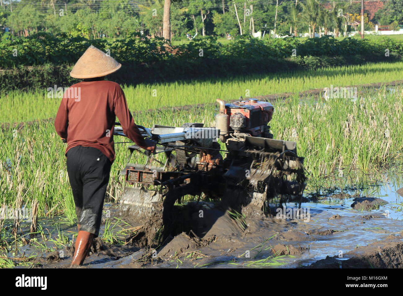 Fice hi-res stock photography and images - Alamy