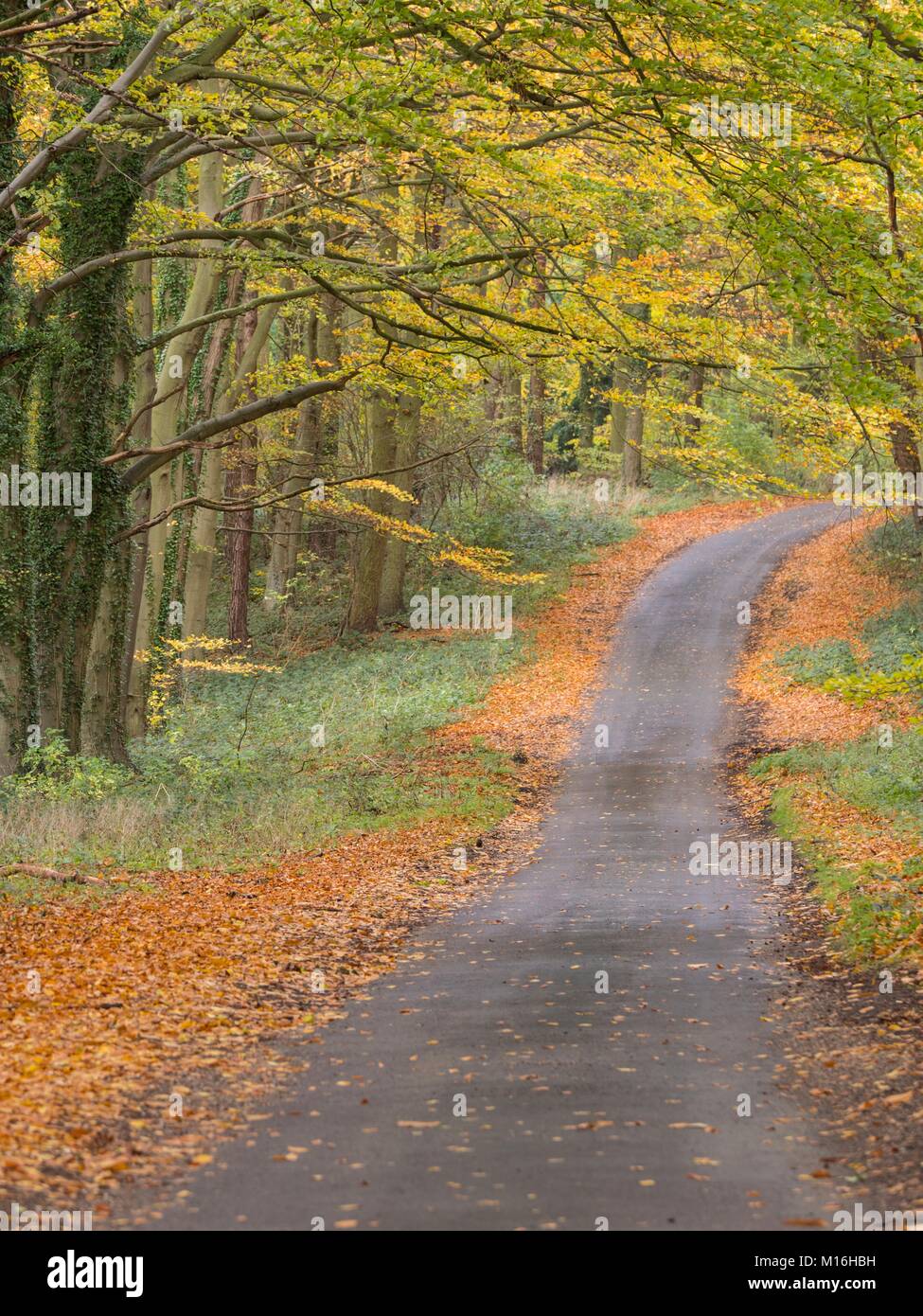 Deserted country hi-res stock photography and images - Alamy