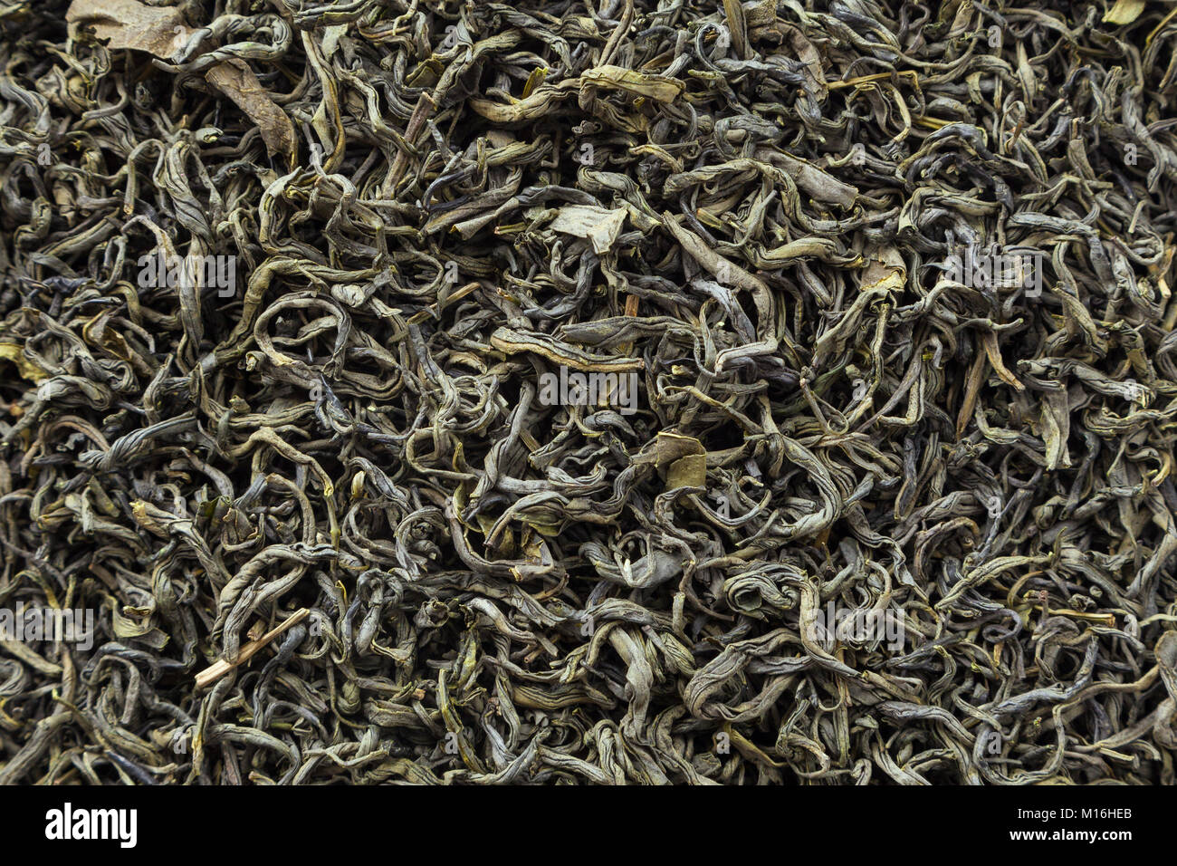 Tea herbs texture. Green tea. Organic dried green tea leaves Stock ...