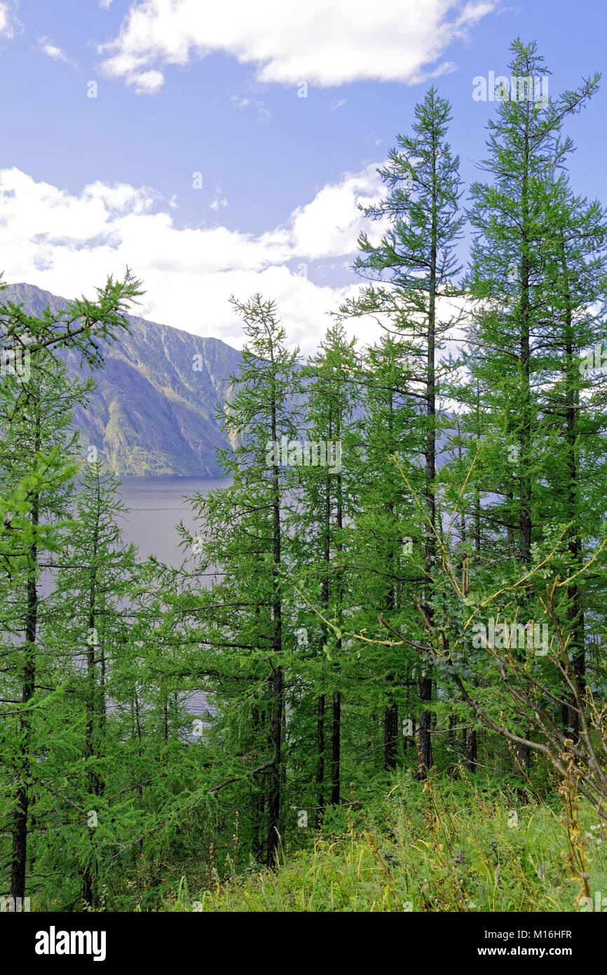 Altai, Sibir.Teletskoe lake view from the cordon Bele on Altyn-Tuu ...