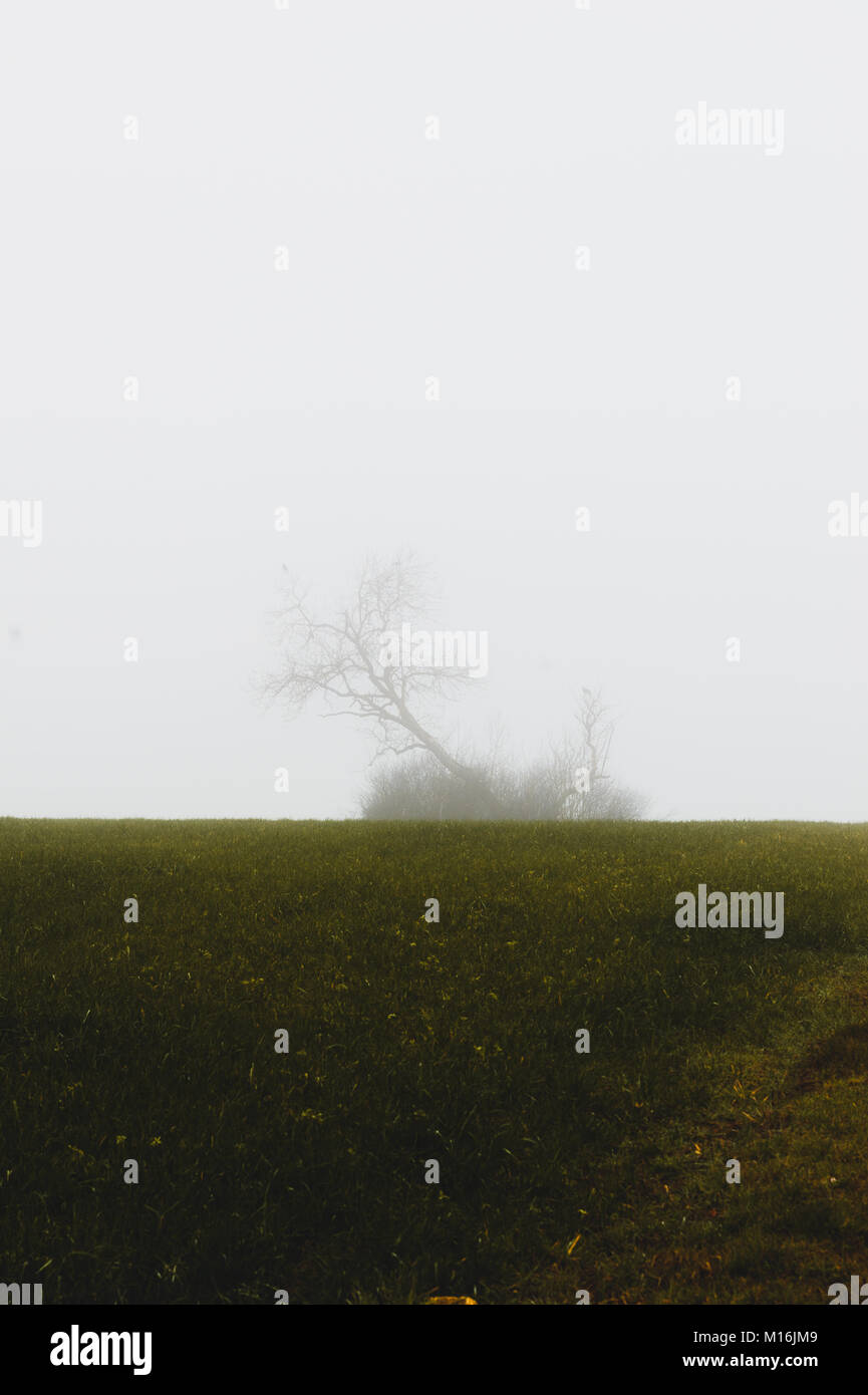 Misty weather hi-res stock photography and images - Alamy