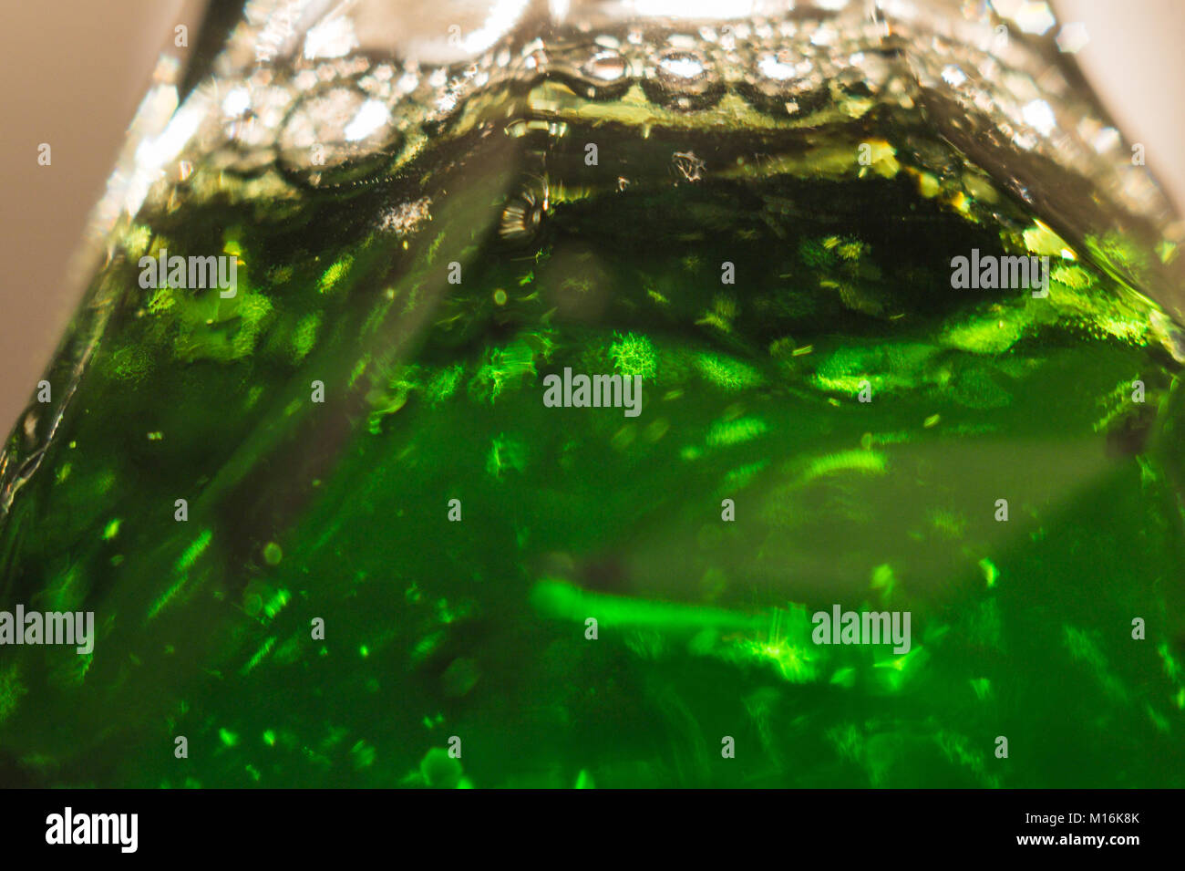 texture of green bottle beer green closeup holiday alcohol Stock Photo ...