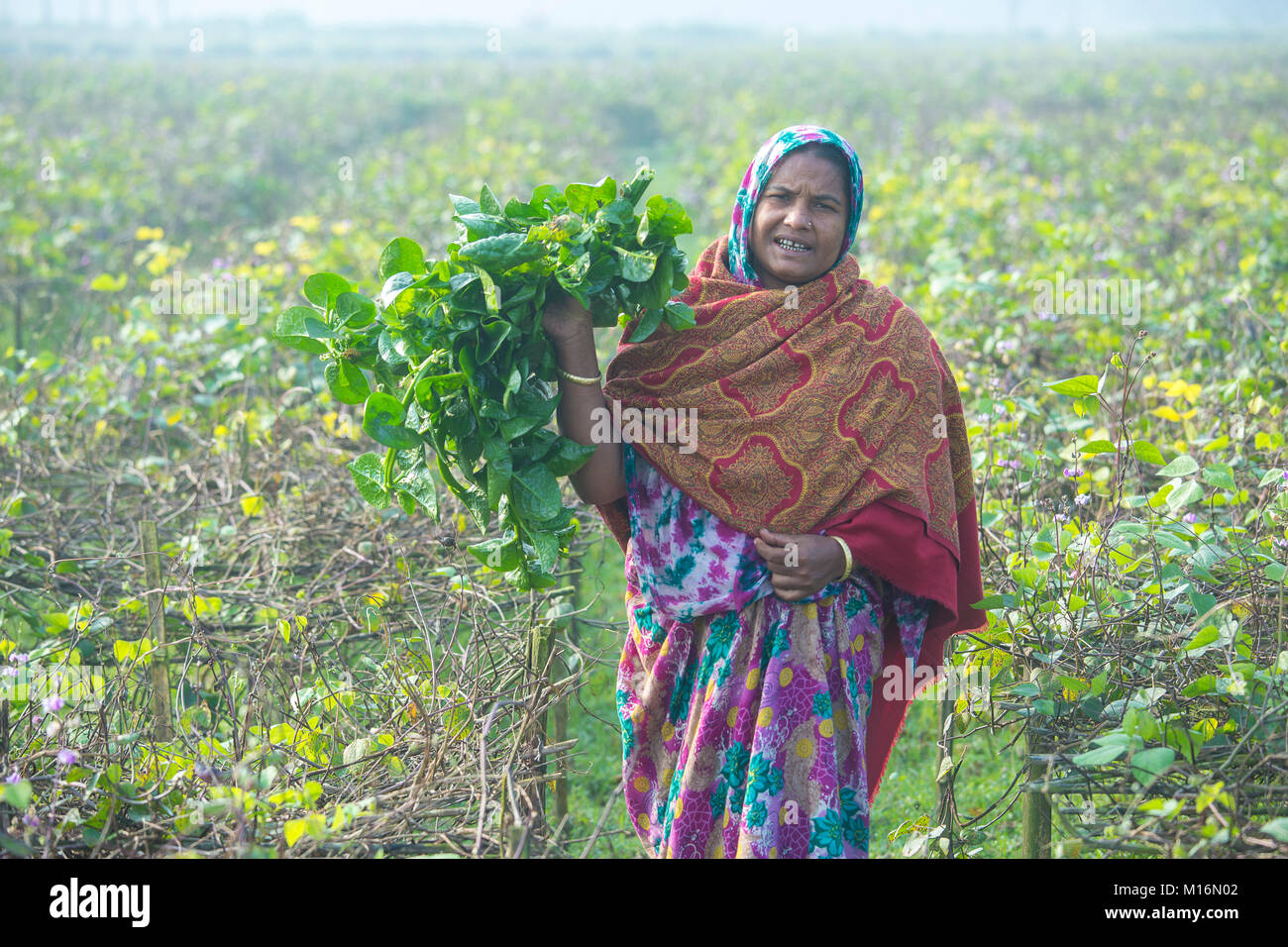 Pui man hi-res stock photography and images - Alamy