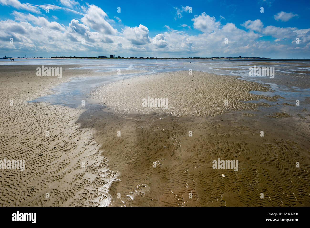 The Wadden Sea is an intertidal zone in the southeastern part of the ...