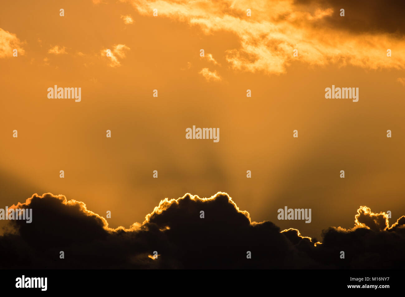 Golden sunset with rays of light Stock Photo - Alamy