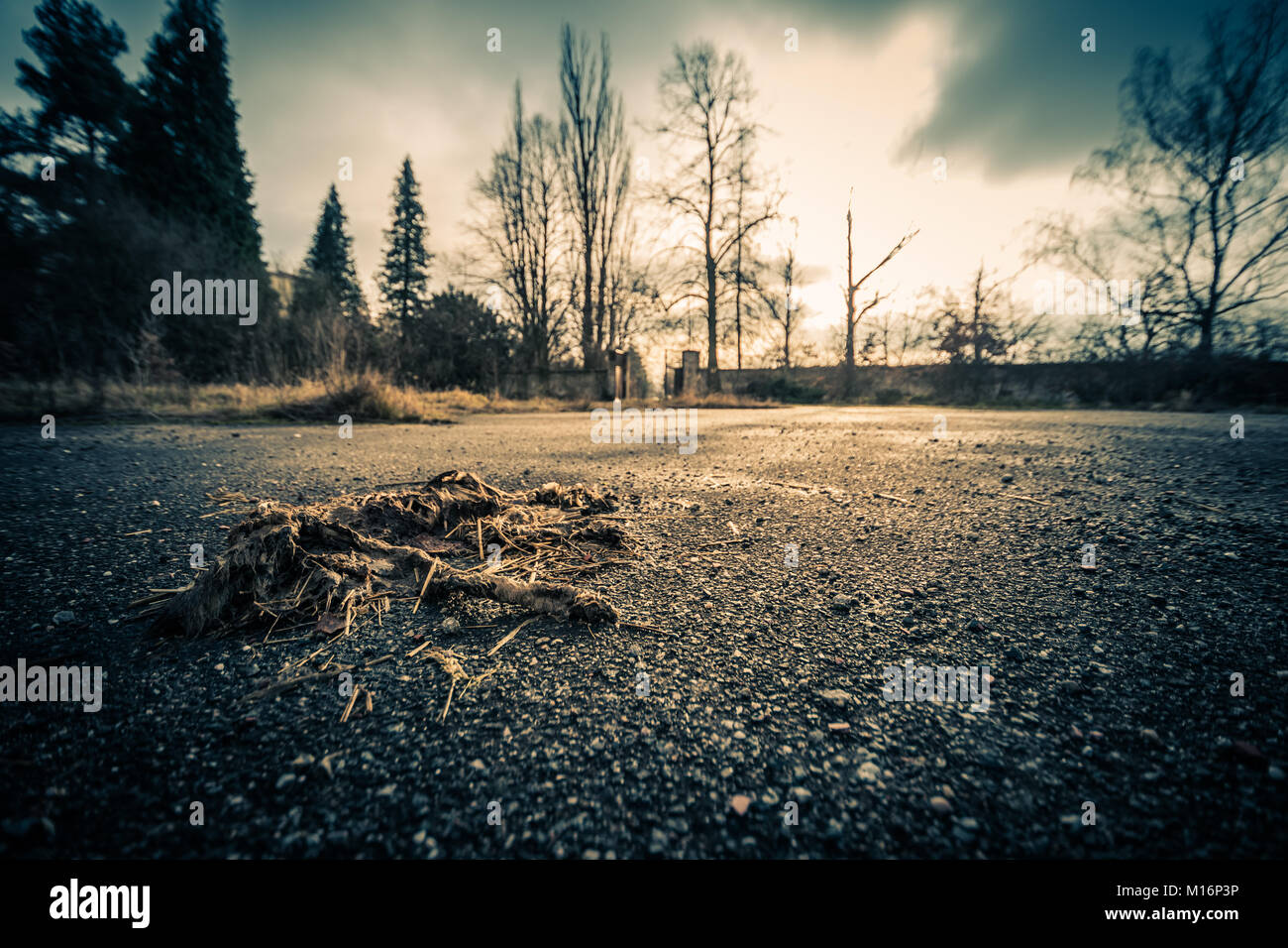 Lonely Place High Resolution Stock Photography and Images - Alamy