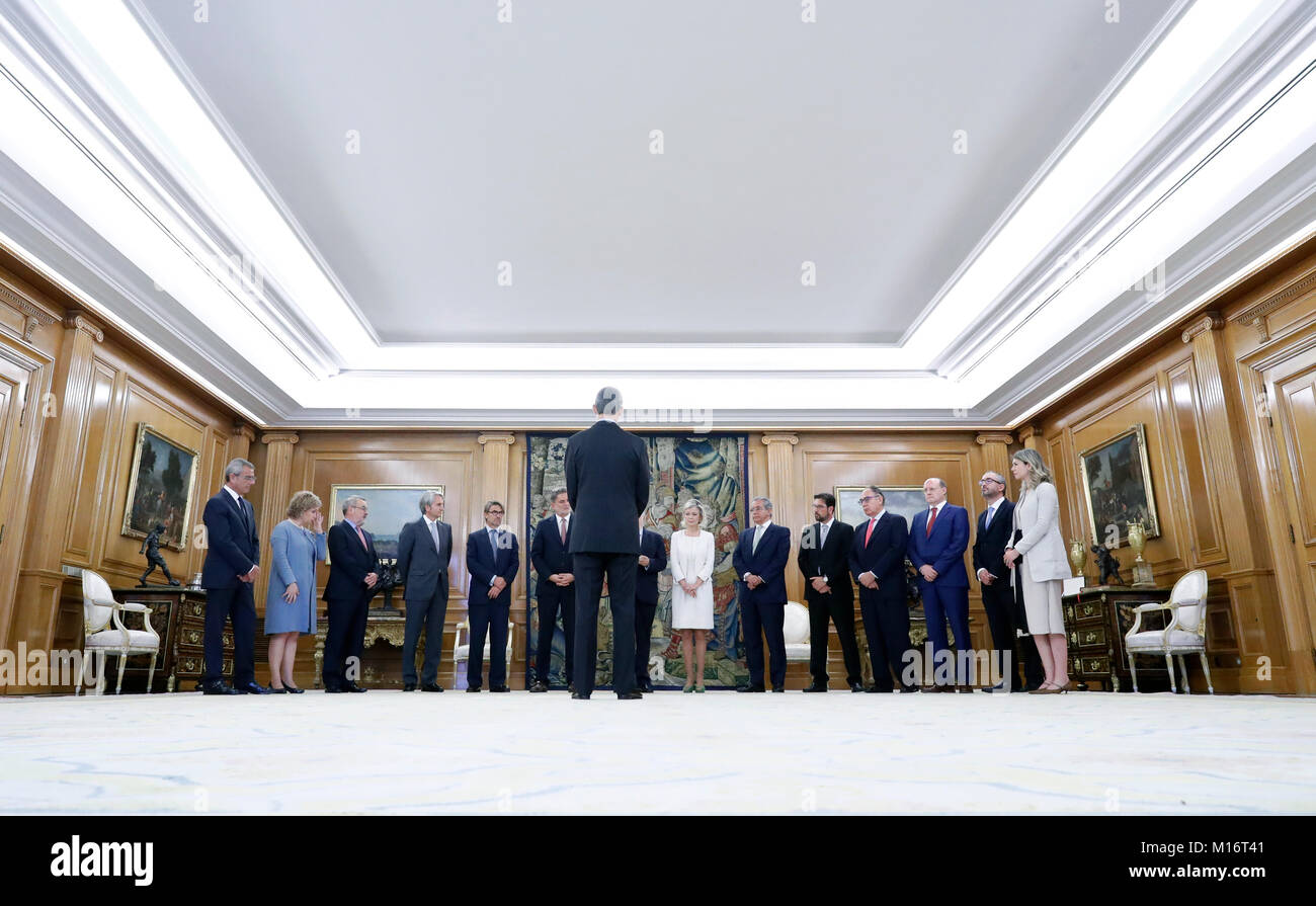 Spanish King Felipe VI during audience with Broseta Foundation in ...