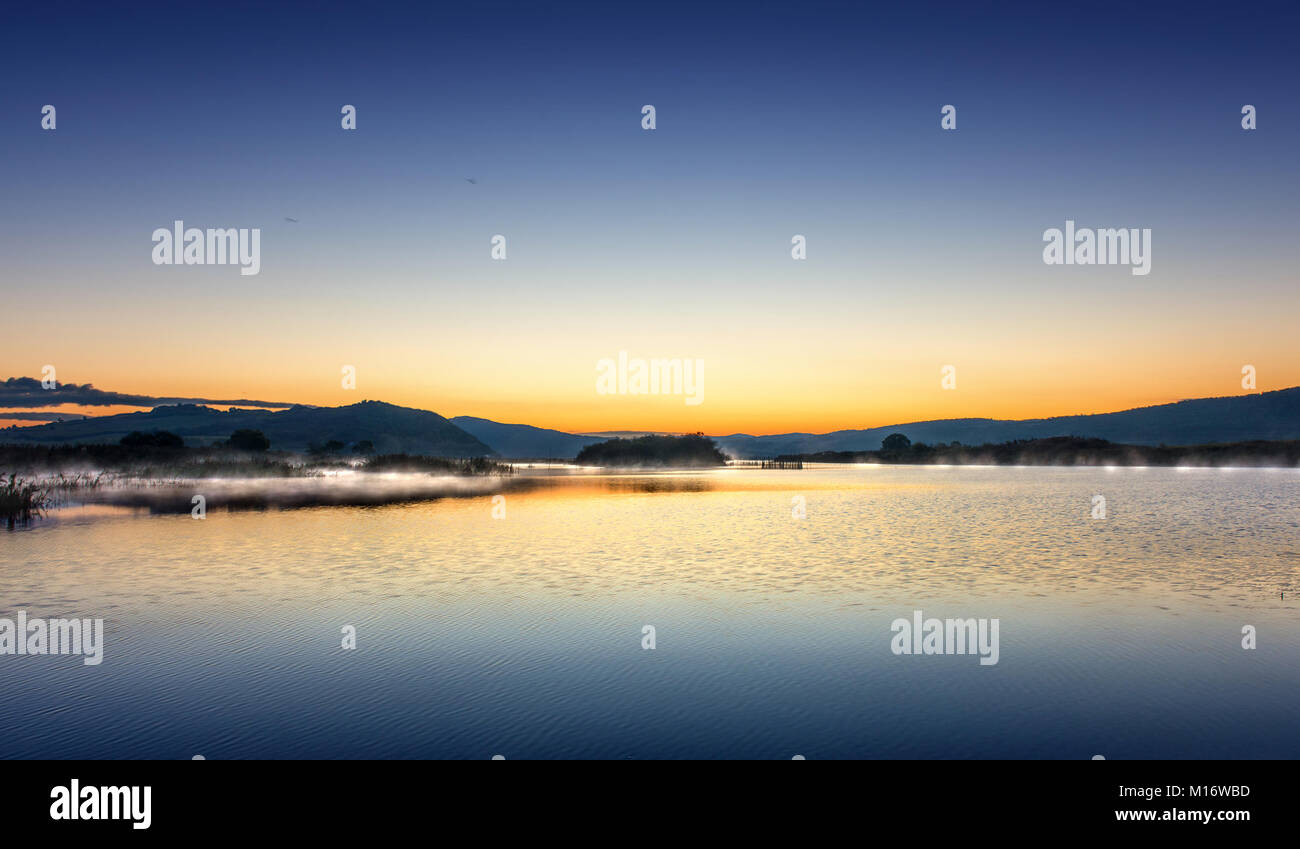 Siberian crane china hi-res stock photography and images - Alamy