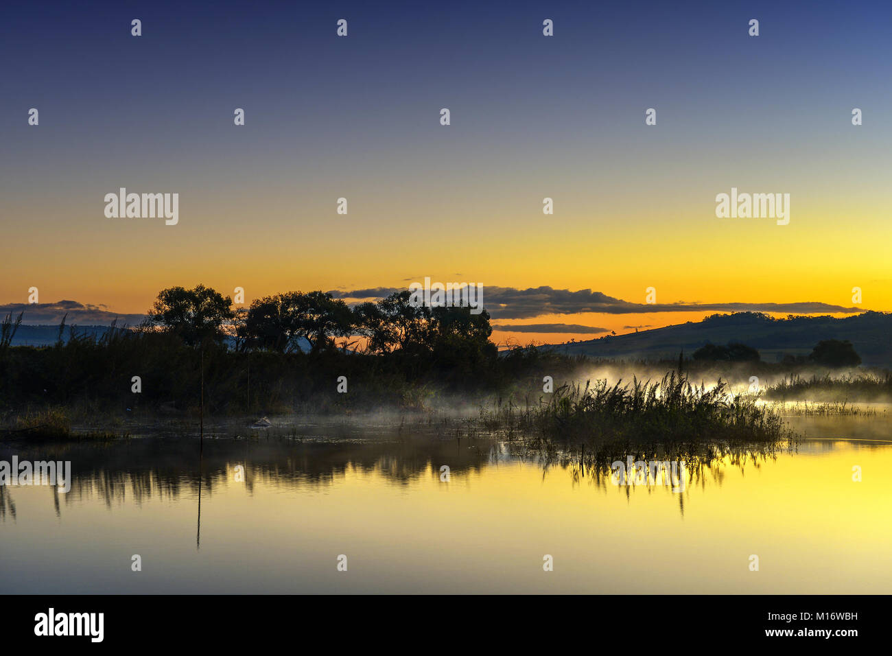 China siberian crane nature reserve hi-res stock photography and images ...