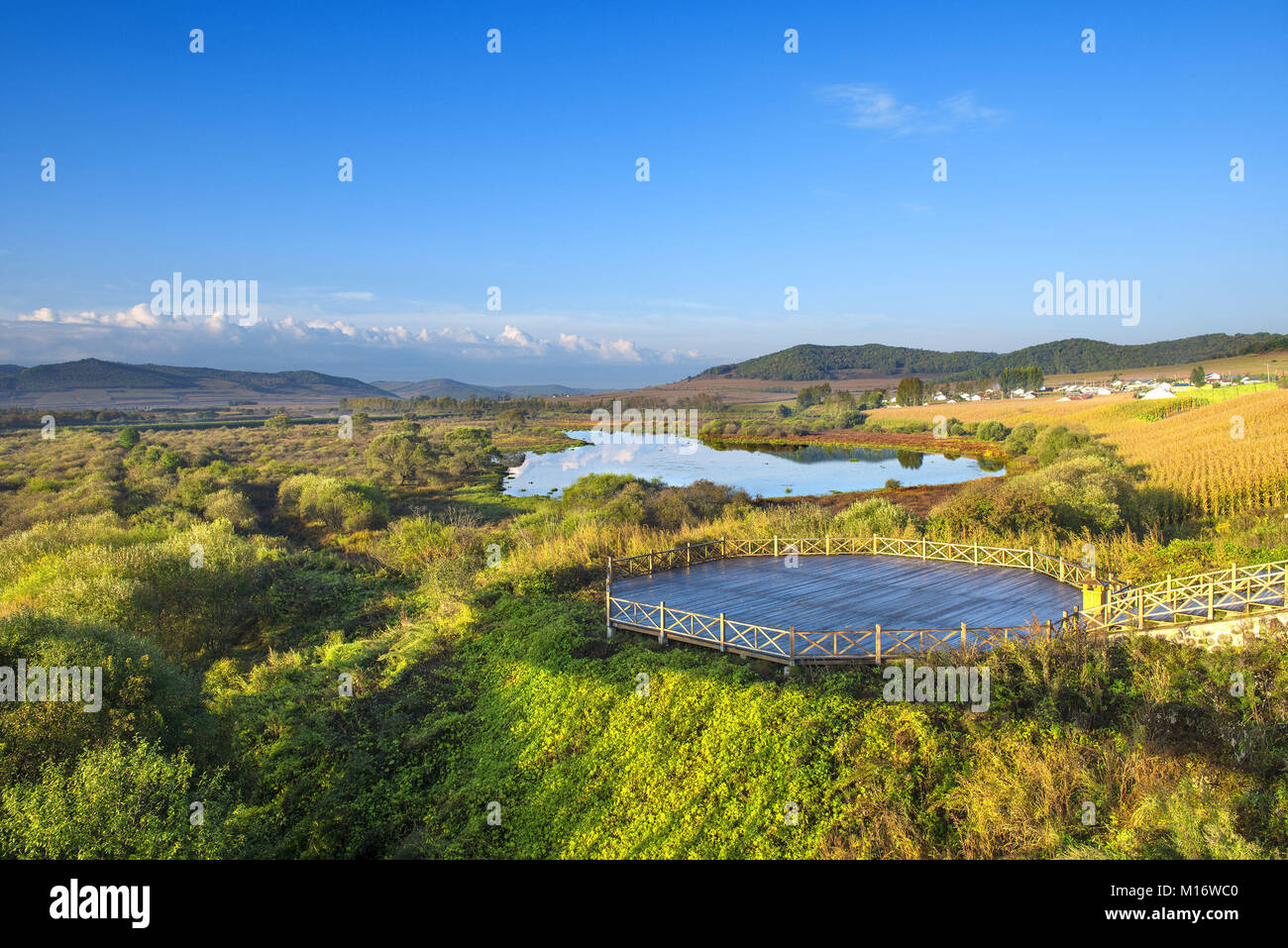 Endangered siberian crane hi-res stock photography and images - Alamy