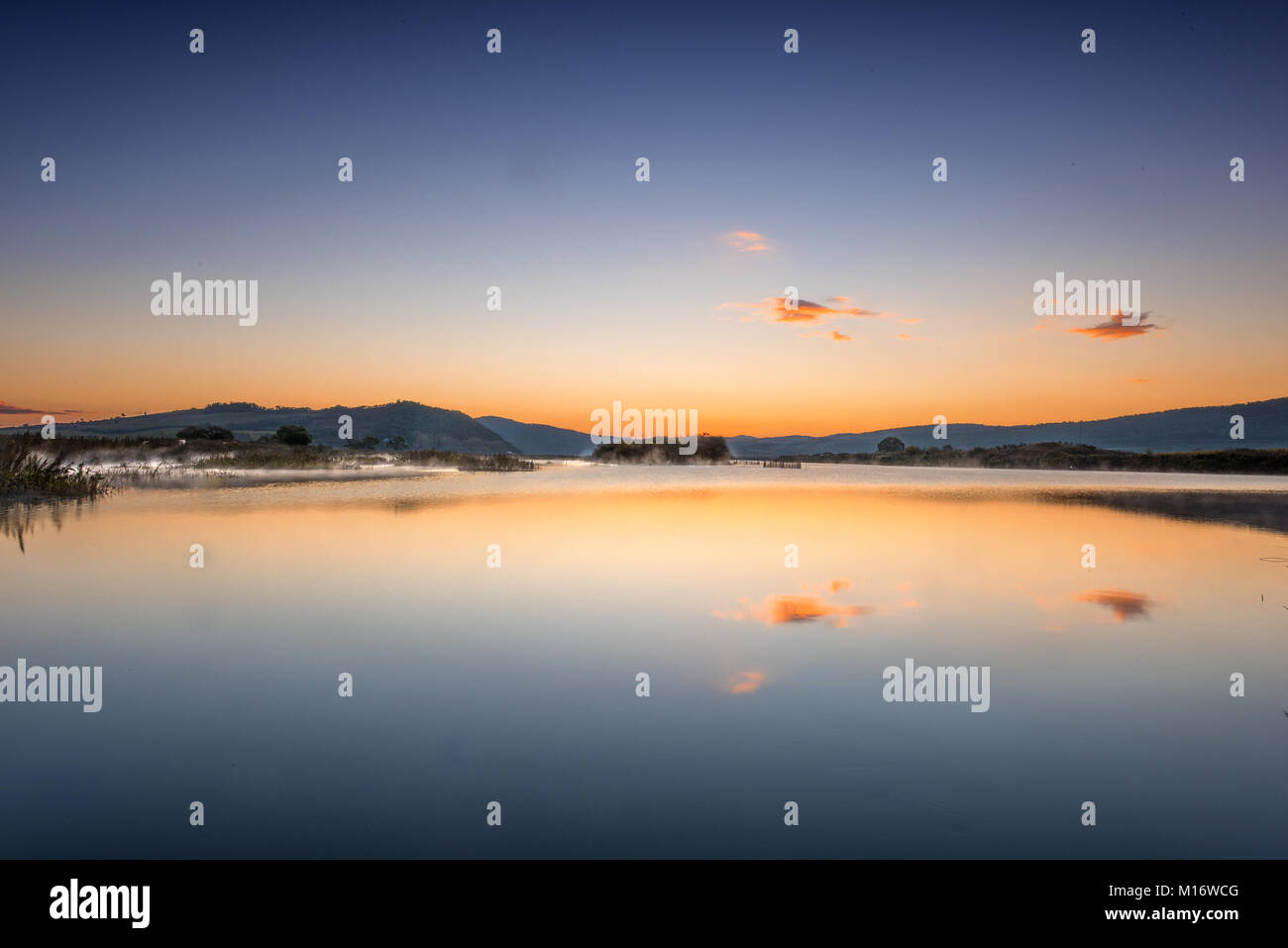 Red crowned crane china wetland hi-res stock photography and images - Alamy