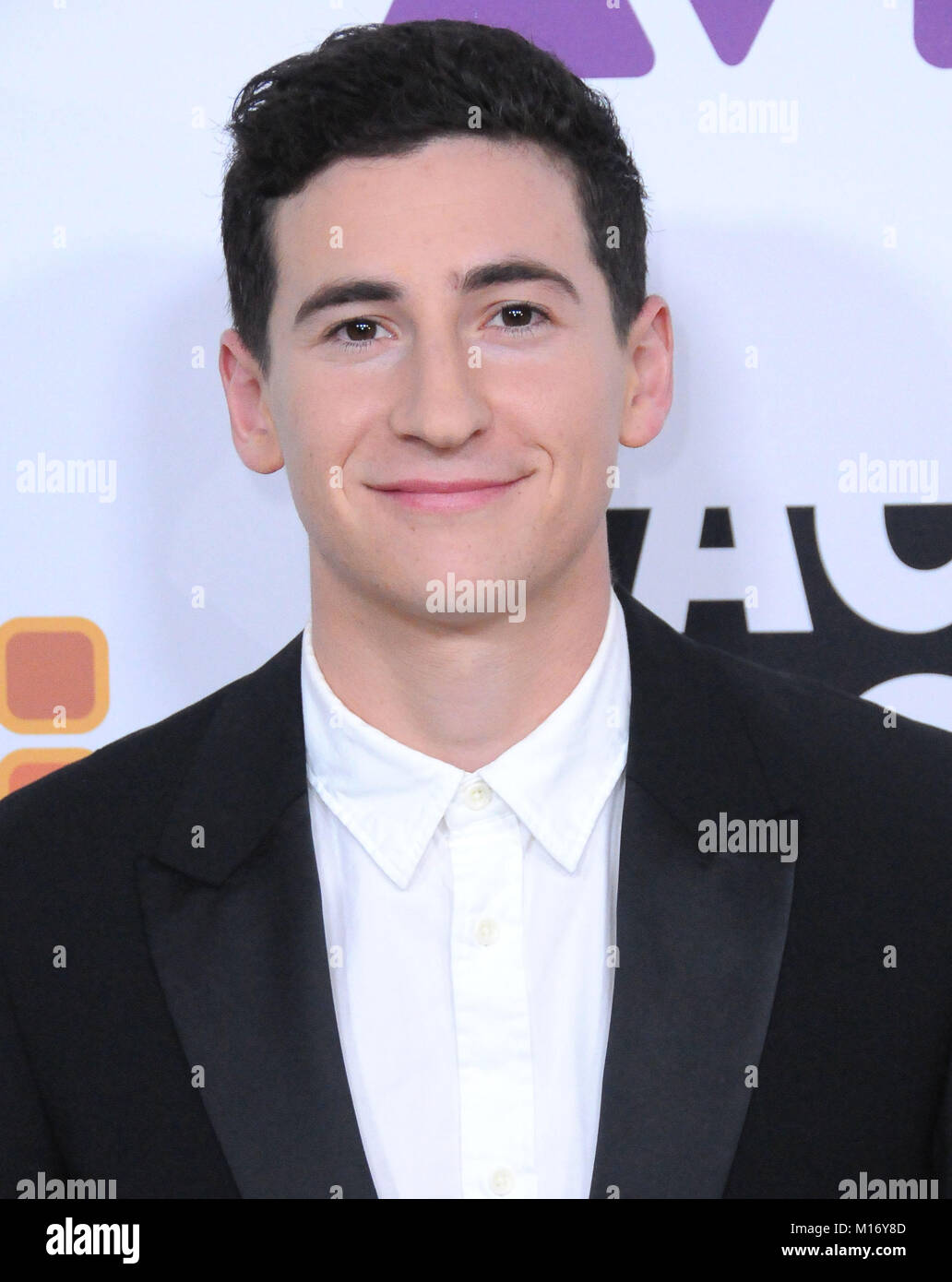 BEVERLY HILLS, CA - JANUARY 26: Actor Sam Lerner attends the 2018 ACE Eddie Awards at The ...