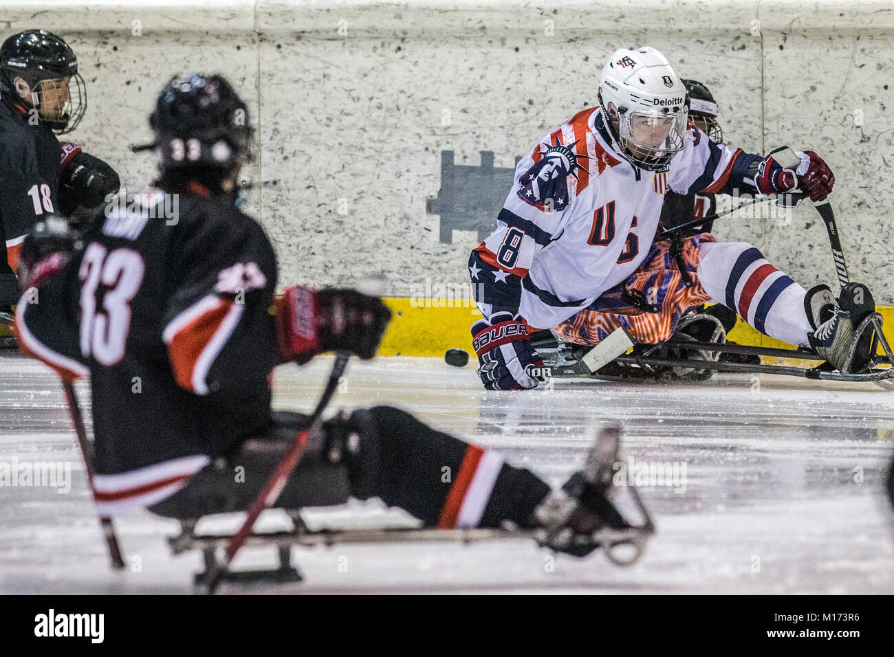 January 26, 2018 - Turin, Italy-January 26, 2018: The International ...