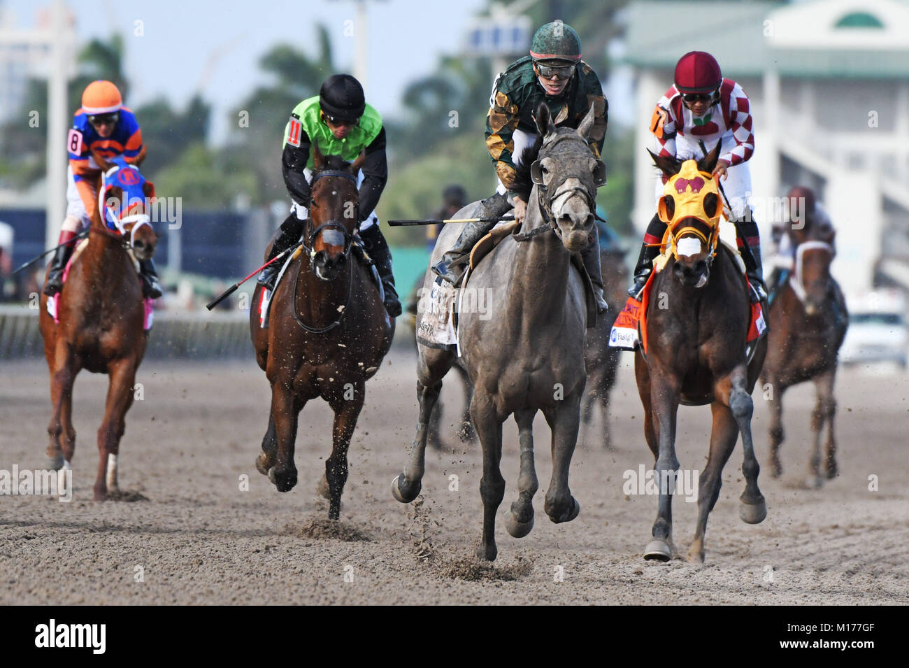 Hallandale Beach, FL, USA. 27th Jan, 2018. Jordan's Henny (#2) wins ...