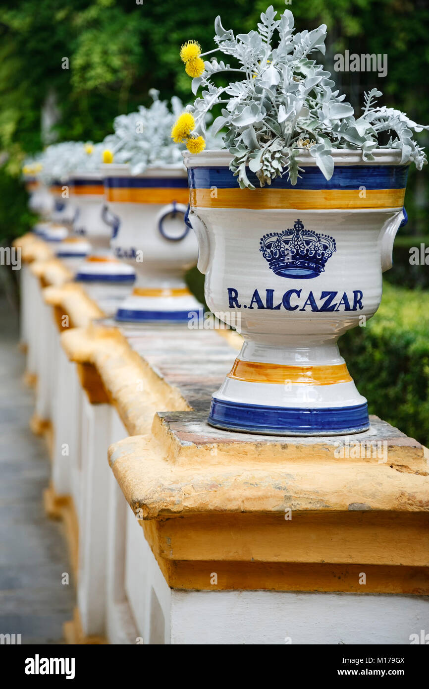Flower pots, Real Alcazar de Sevilla (Royal Palace of Seville), Seville ...