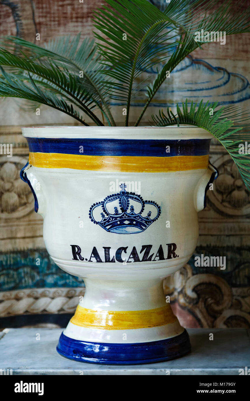Flower pot, Real Alcazar de Sevilla (Royal Palace of Seville), Seville ...