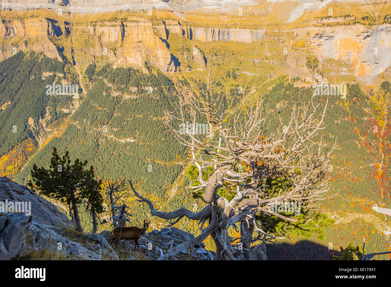 Autumn in Pyrenees Stock Photo - Alamy