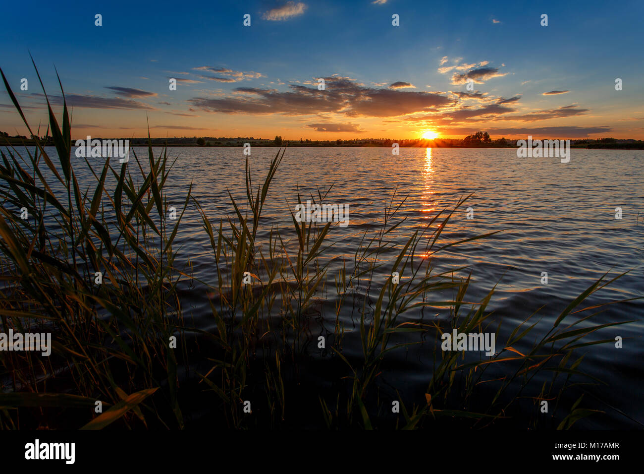 View of the evening sunset above the lake through the coastal grass ...