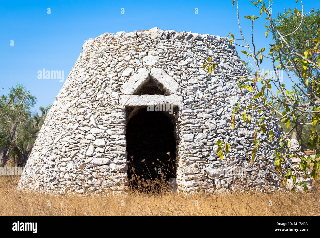 Chipuru hi-res stock photography and images - Alamy