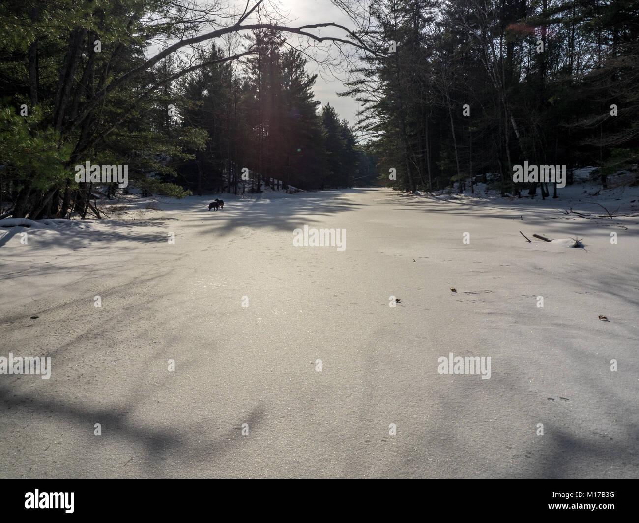 Frozen Ice River Stock Photo - Alamy