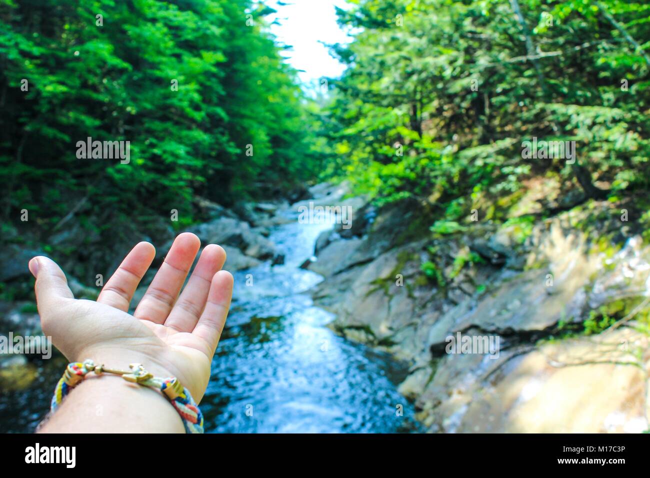 Reaching into nature Stock Photo - Alamy