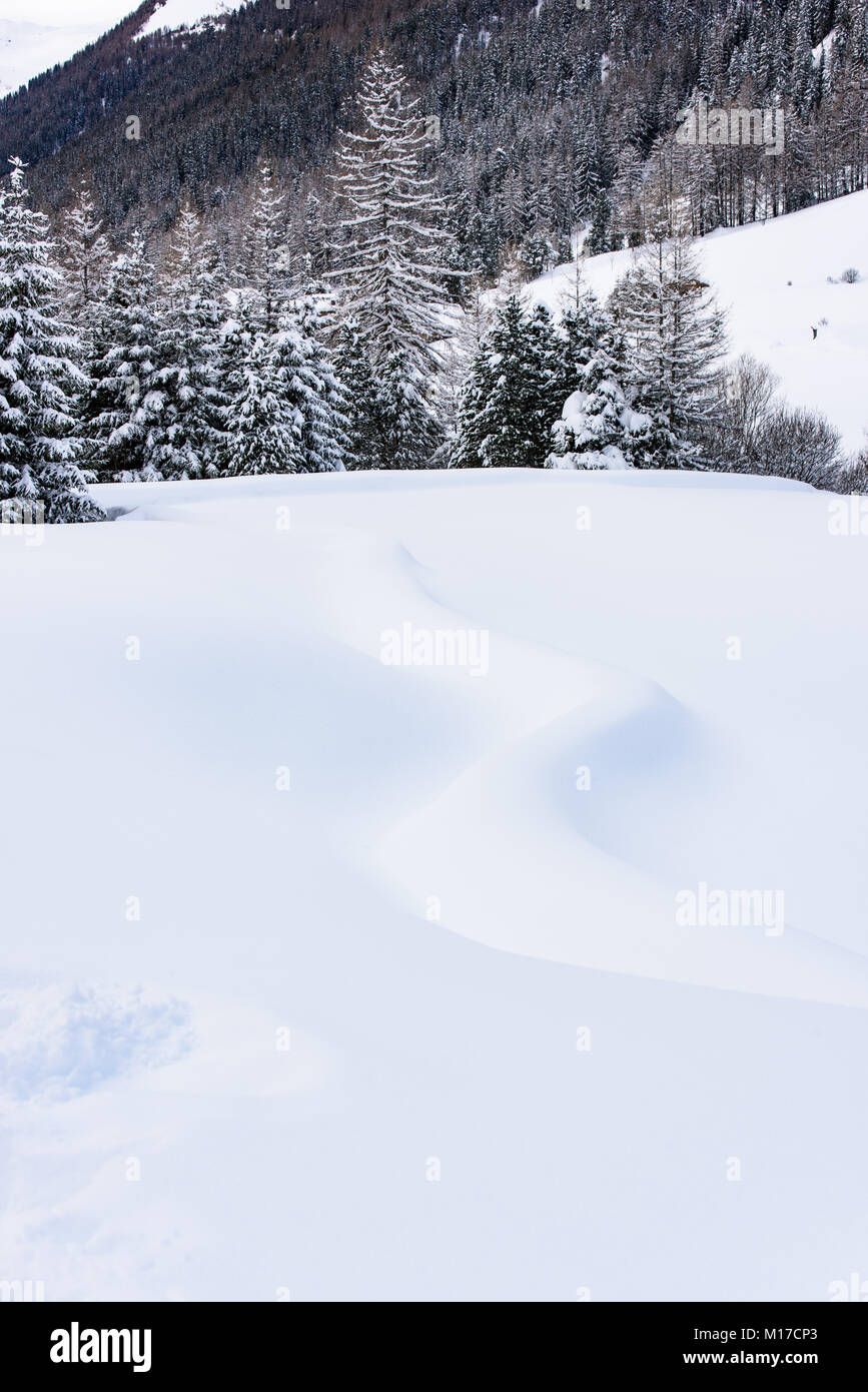 Lines in the snow Stock Photo - Alamy