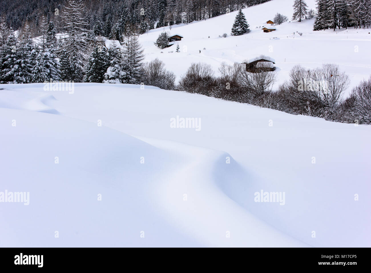 Lines in the snow Stock Photo - Alamy